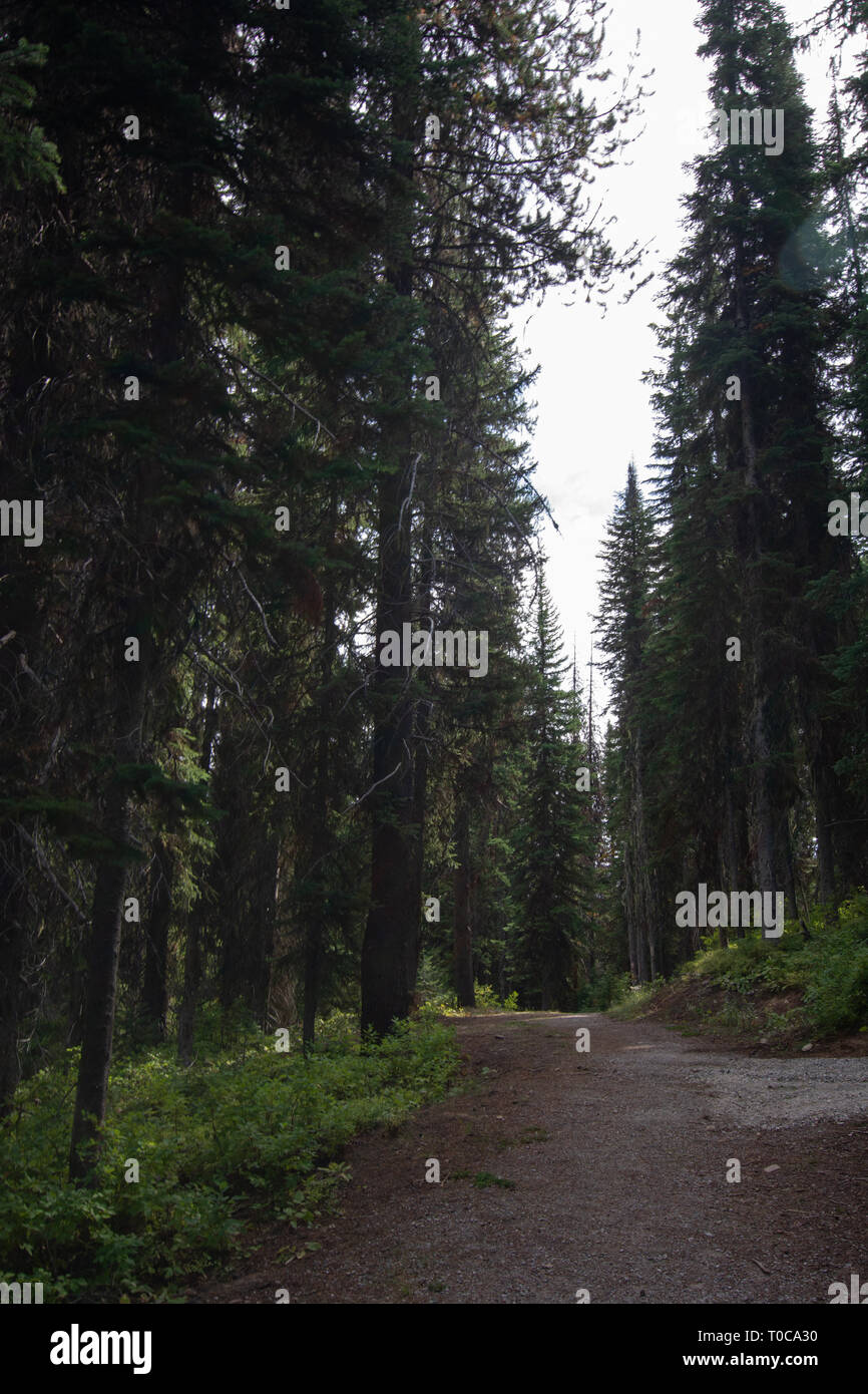 Lolo pass visitor center hi-res stock photography and images - Alamy