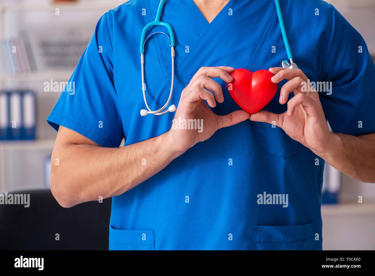 Male doctor cardiologist holding heart model Stock Photo - Alamy