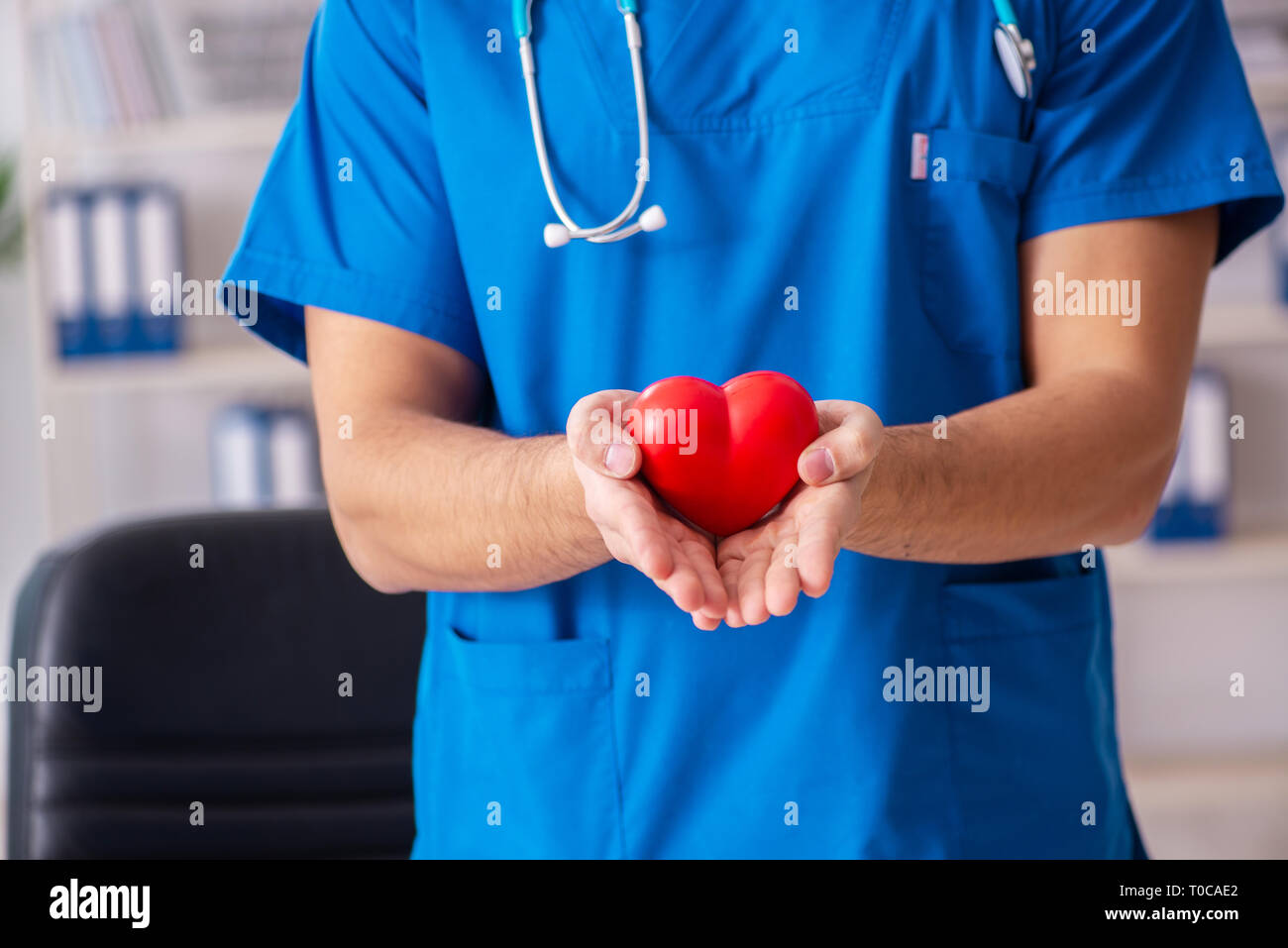Male doctor cardiologist holding heart model Stock Photo - Alamy