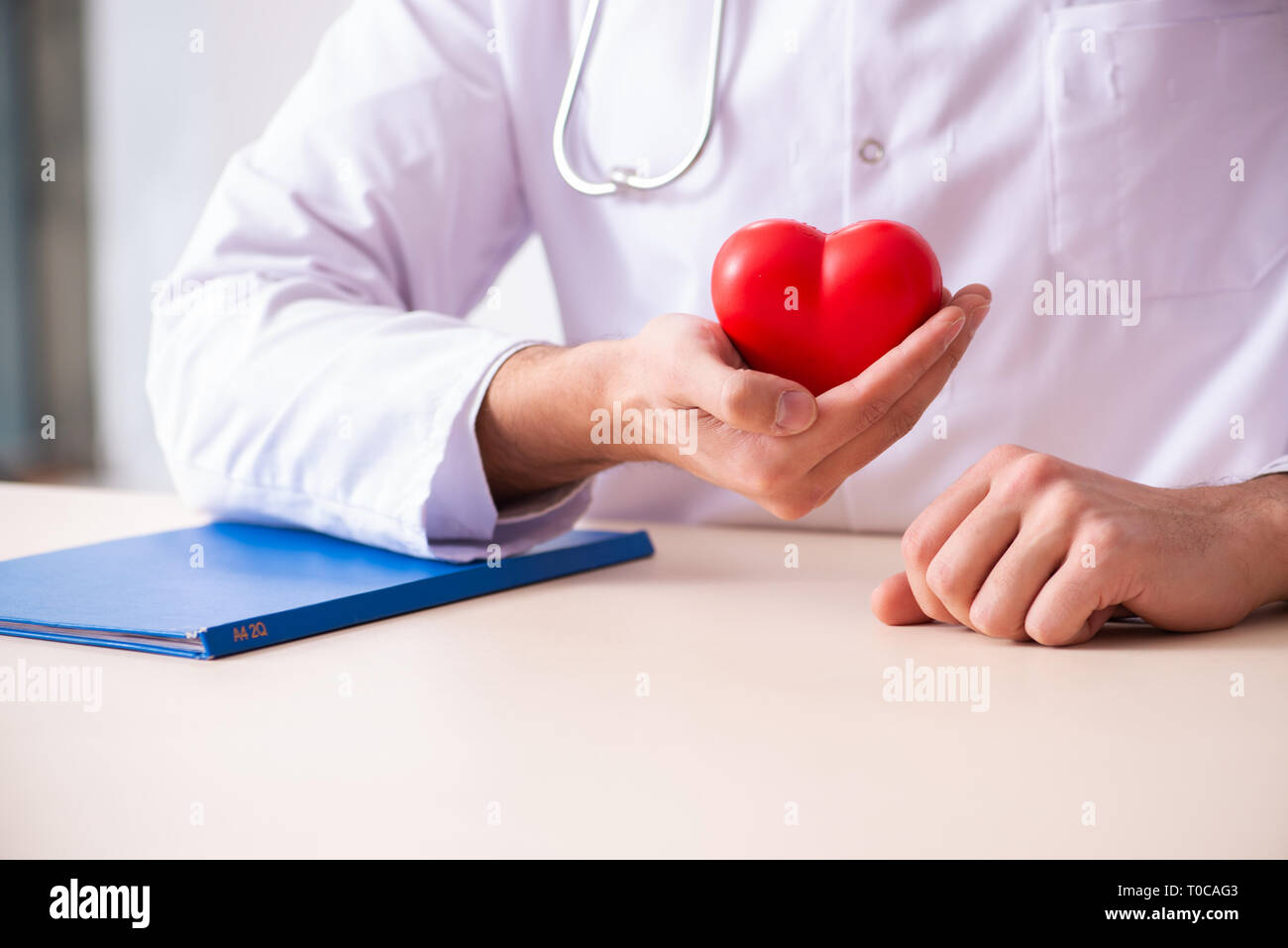 Male doctor cardiologist holding heart model Stock Photo - Alamy