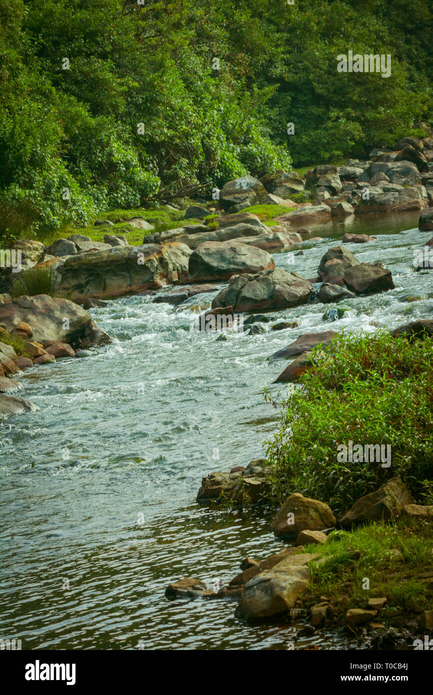 Waterfall in western ghats hi-res stock photography and images - Alamy
