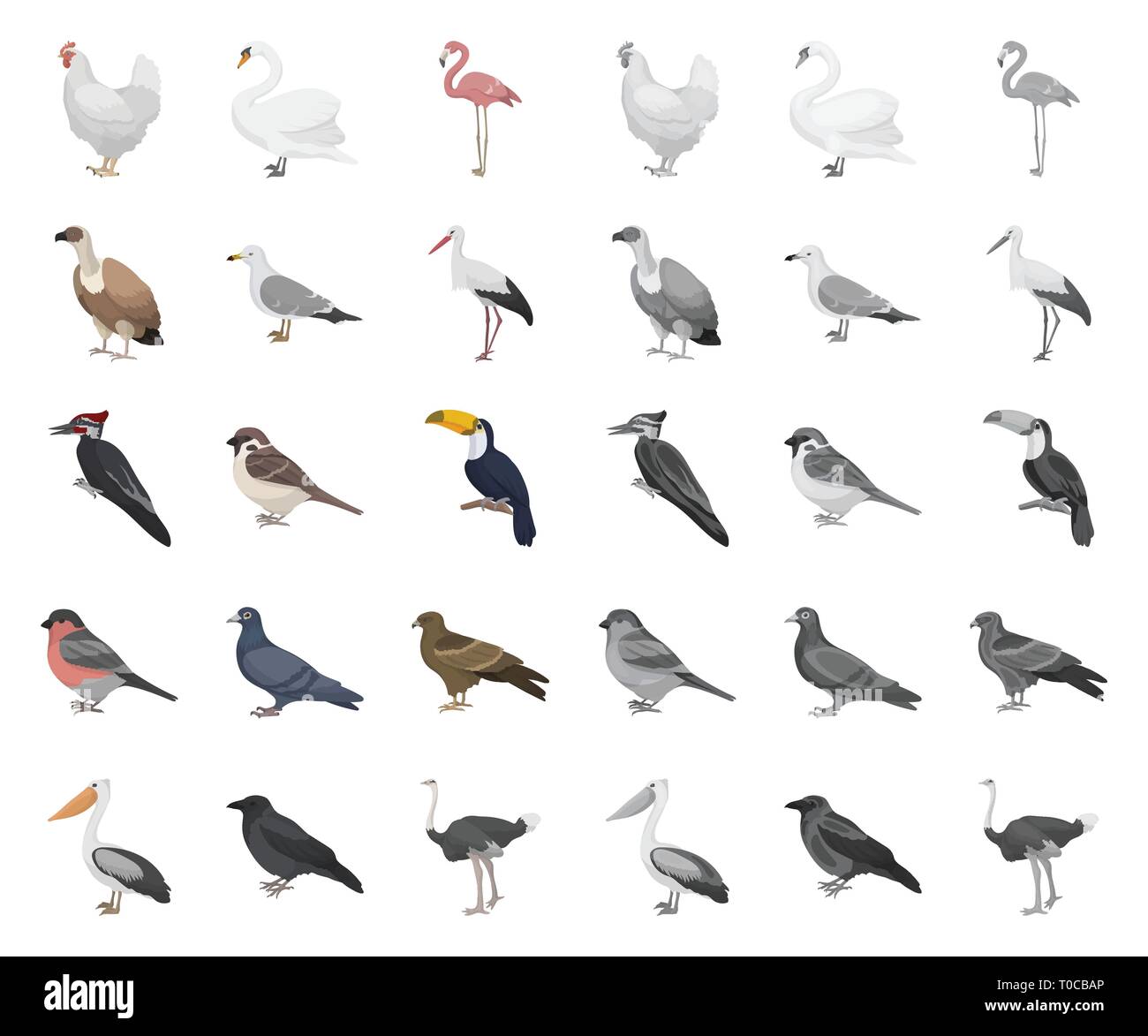 animal,art,beak,bird,bullfinch,cartoon,mono,chicken,collection,crow ...