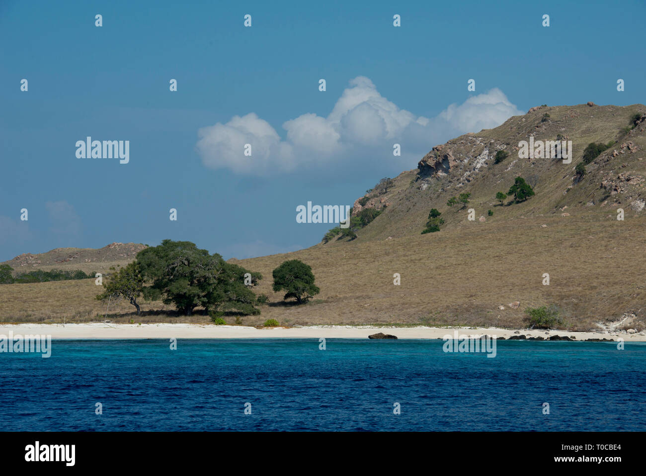 Beach, coastline and hill, near Tatawa Besar Island, Komodo National ...