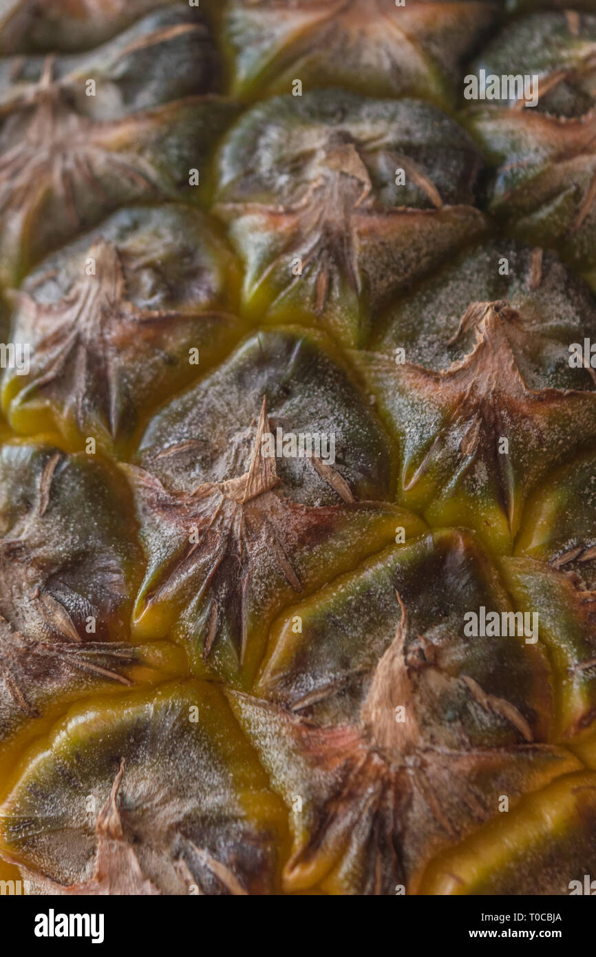 Shell of a pineapple showing clear details and texture, geometric ...