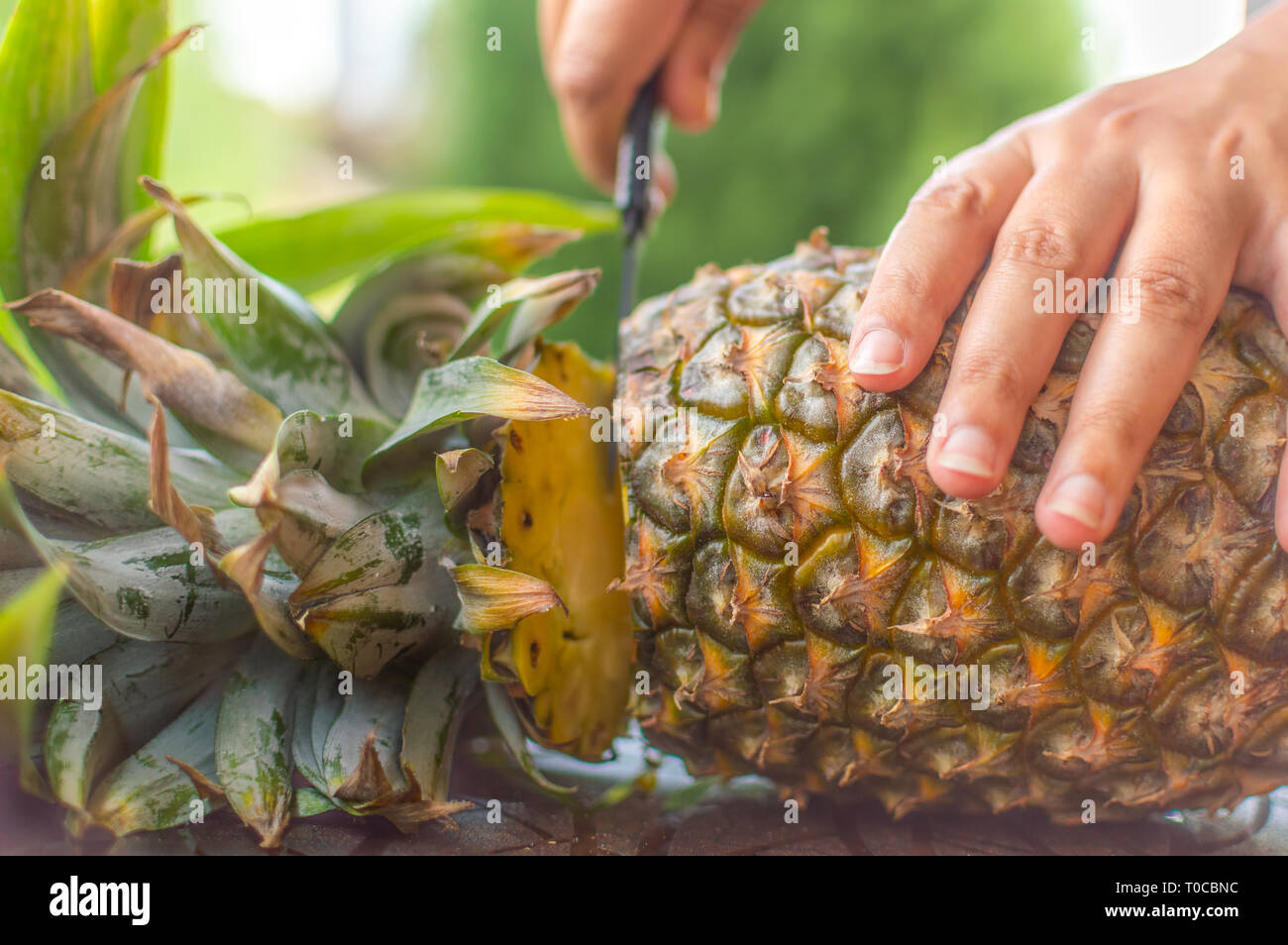 Sharp pineapple hi-res stock photography and images - Alamy