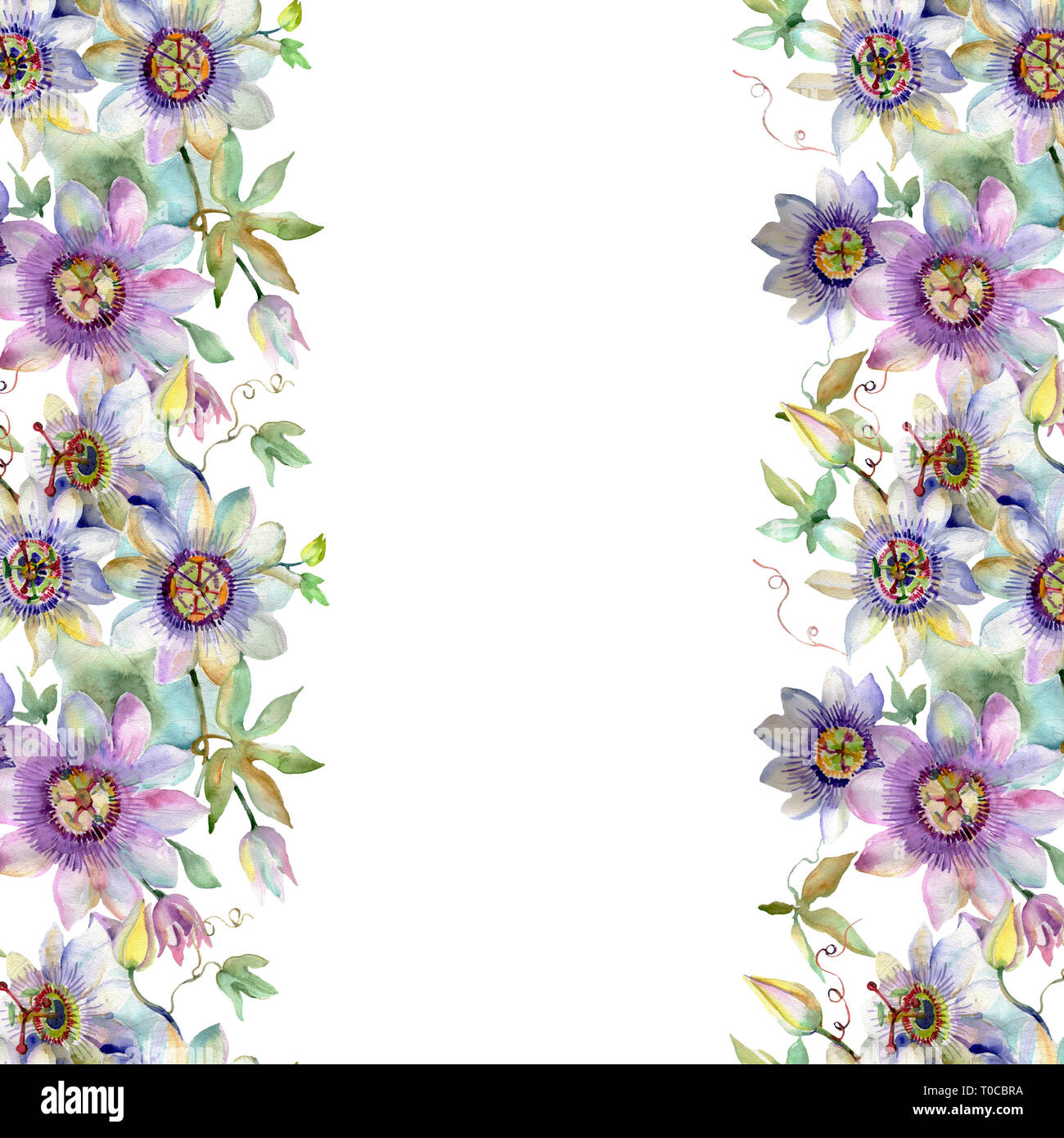 Blue violet bouquet floral botanical flowers. Watercolor background ...