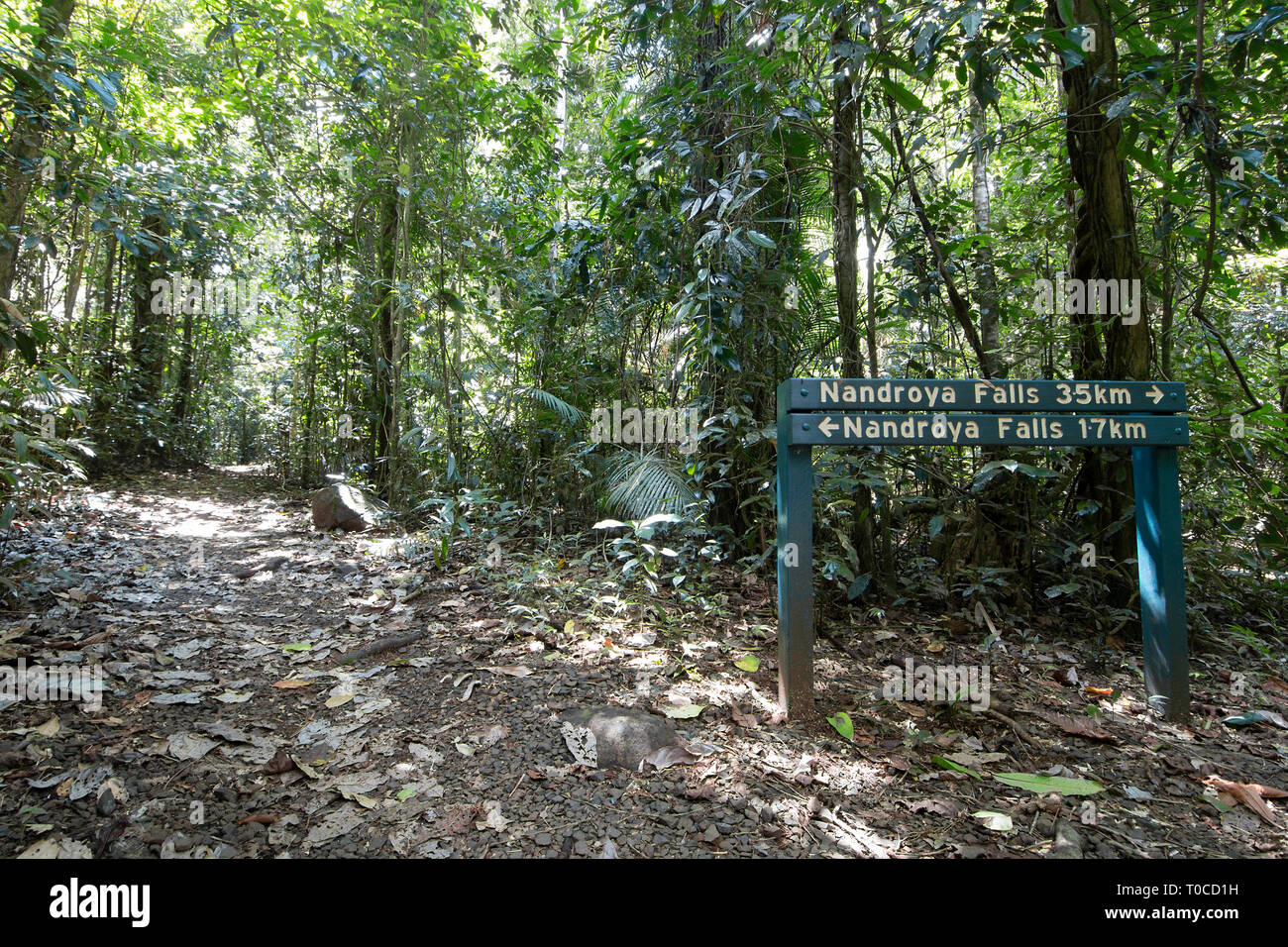Walking trail to Nandroya Falls in Wooroonooran National Park, Far ...