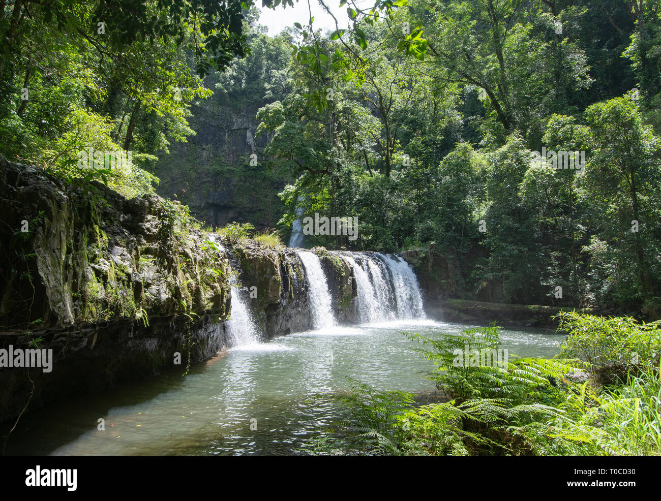 Picturesque view of Nandroya Falls in Wooroonooran National Park, Far ...