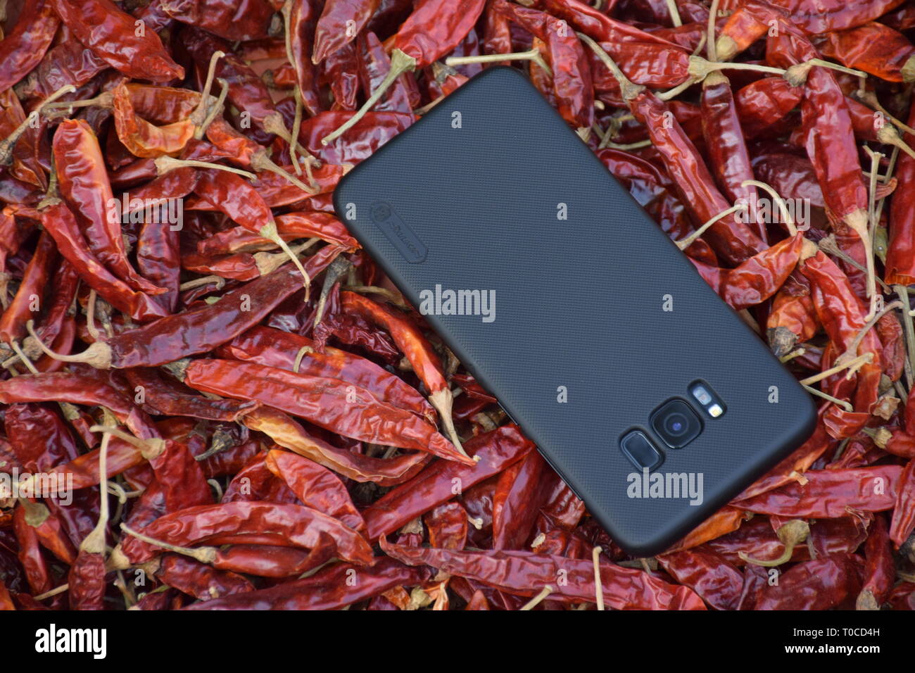 smartphone(mobile) on red chilli Stock Photo - Alamy