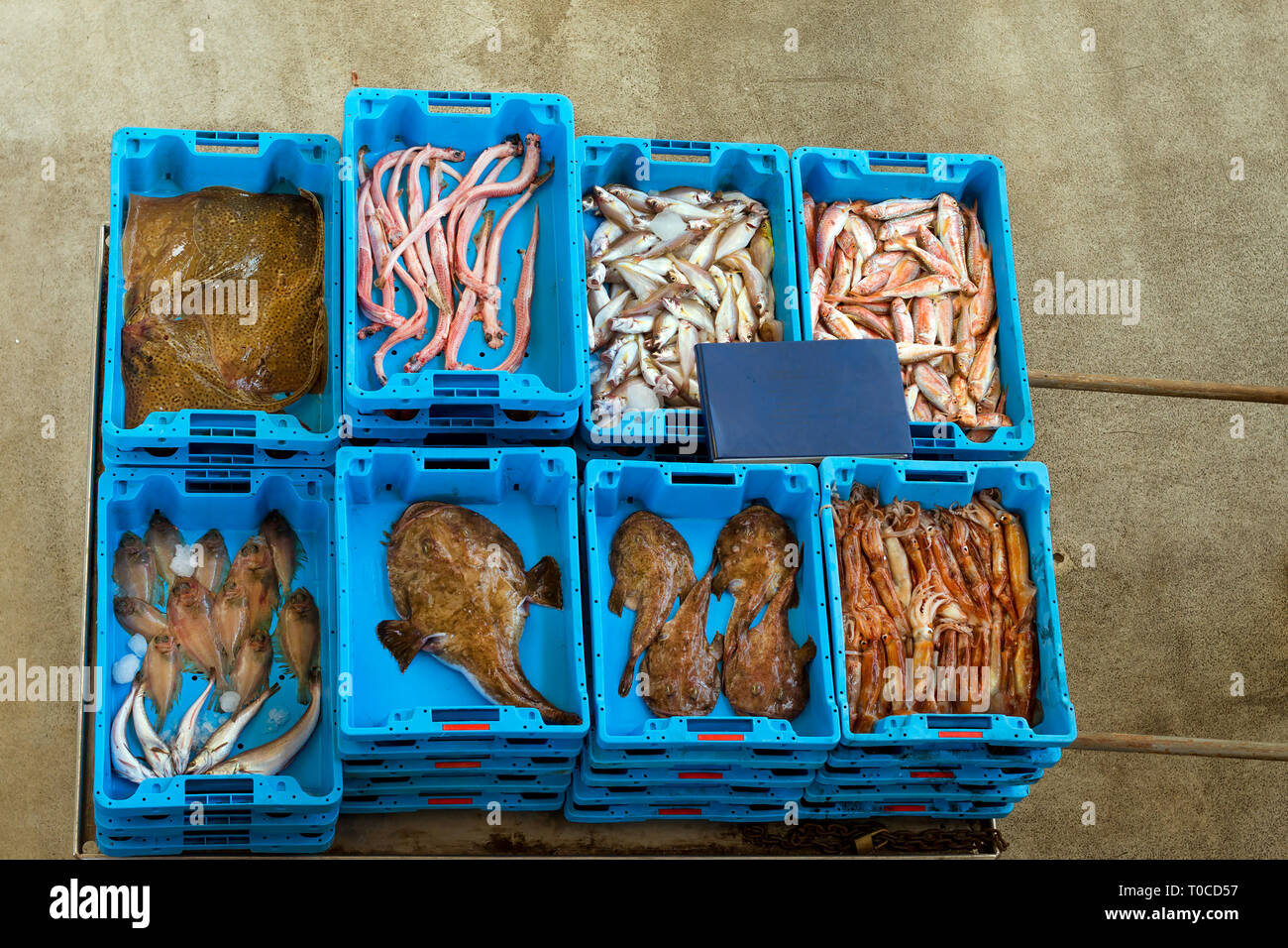 Storage seafood hi-res stock photography and images - Alamy