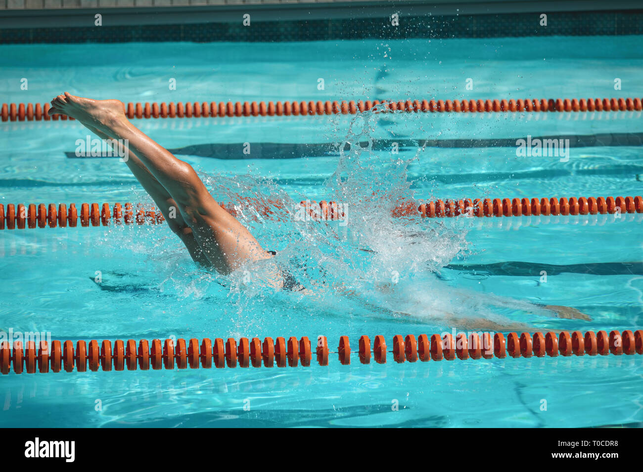 Young male swimmer jumping into water of a swimming pool Stock Photo ...