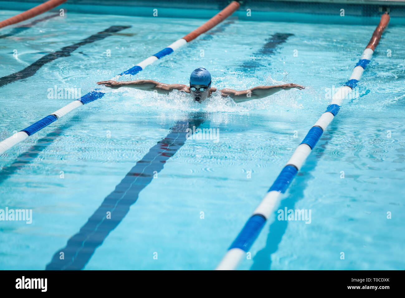 Butterfly stroke hi-res stock photography and images - Alamy