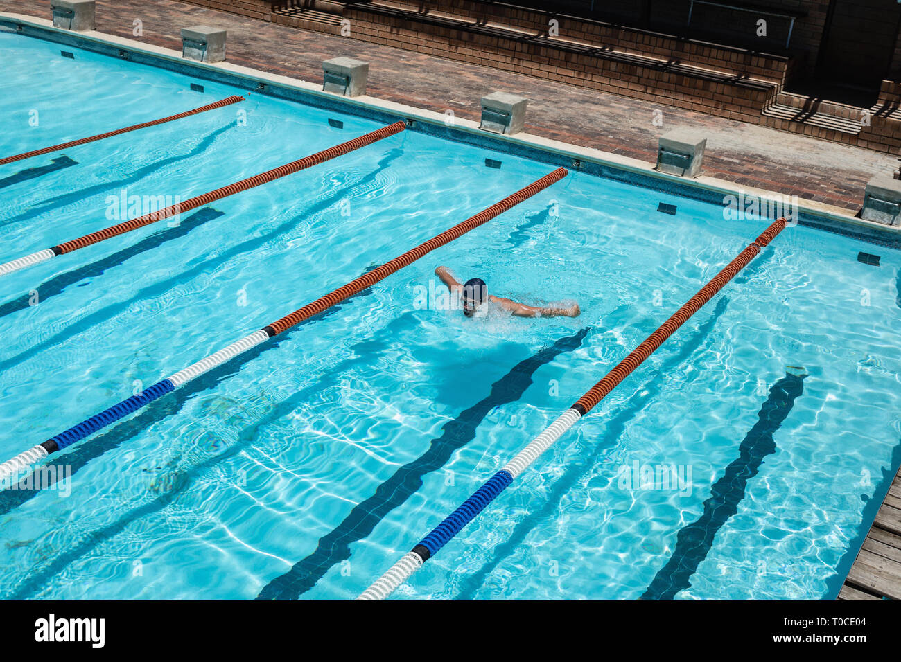 Young swimmer swimming butterfly stroke in swimming pool Stock Photo ...