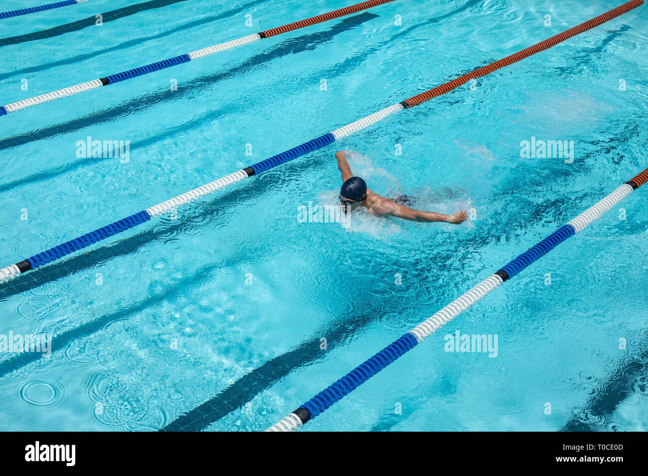 Young swimmer swimming butterfly stroke in swimming pool Stock Photo ...