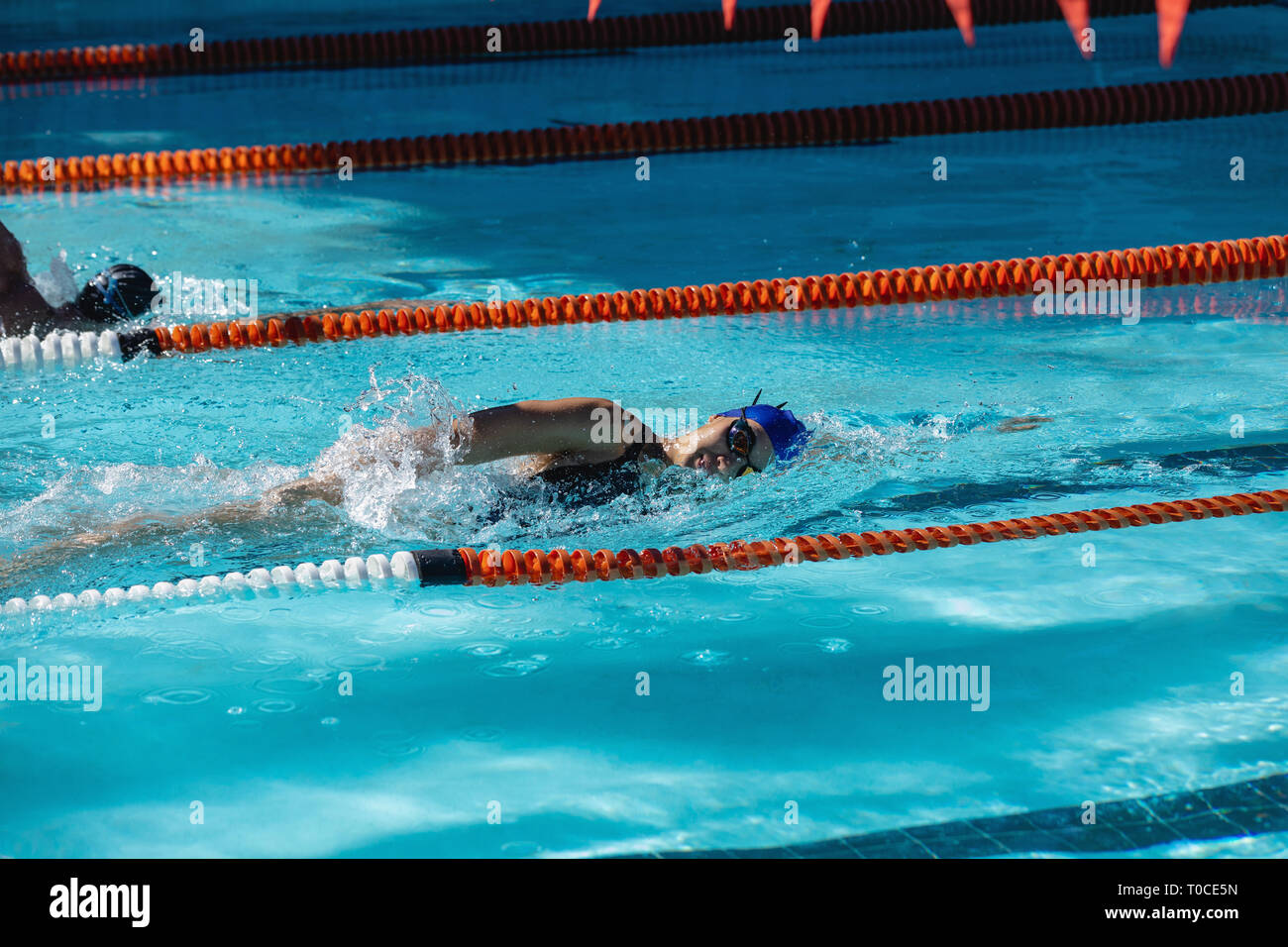 Two female swimmer swimming freestyle in swimming pool Stock Photo - Alamy