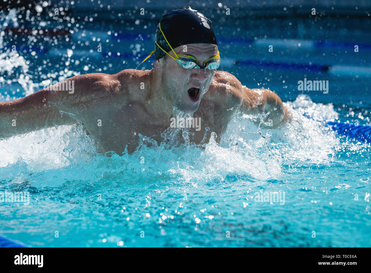 Male swimming freestyle in swimming pool Stock Photo - Alamy
