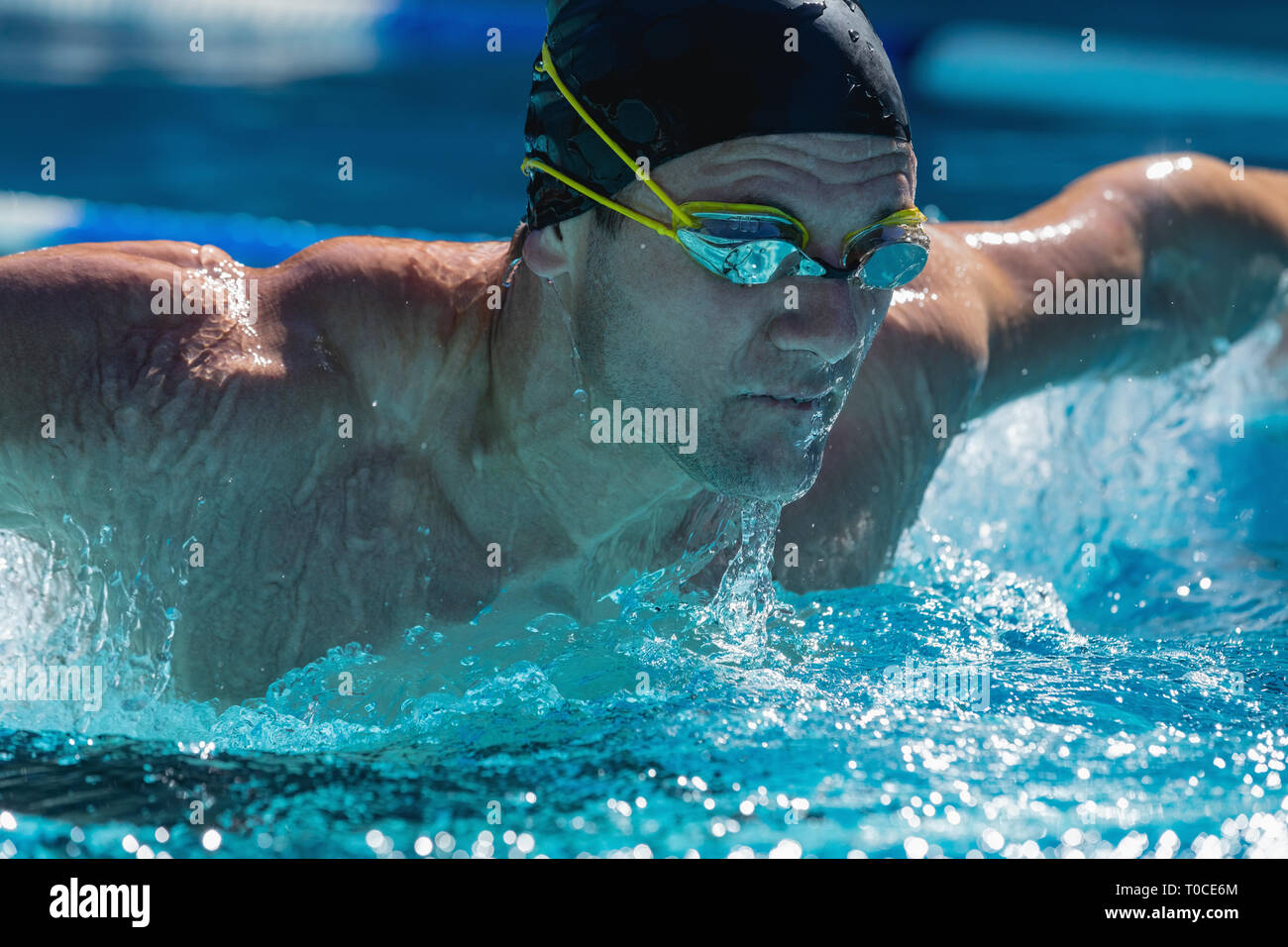 Male swimming freestyle in swimming pool Stock Photo - Alamy
