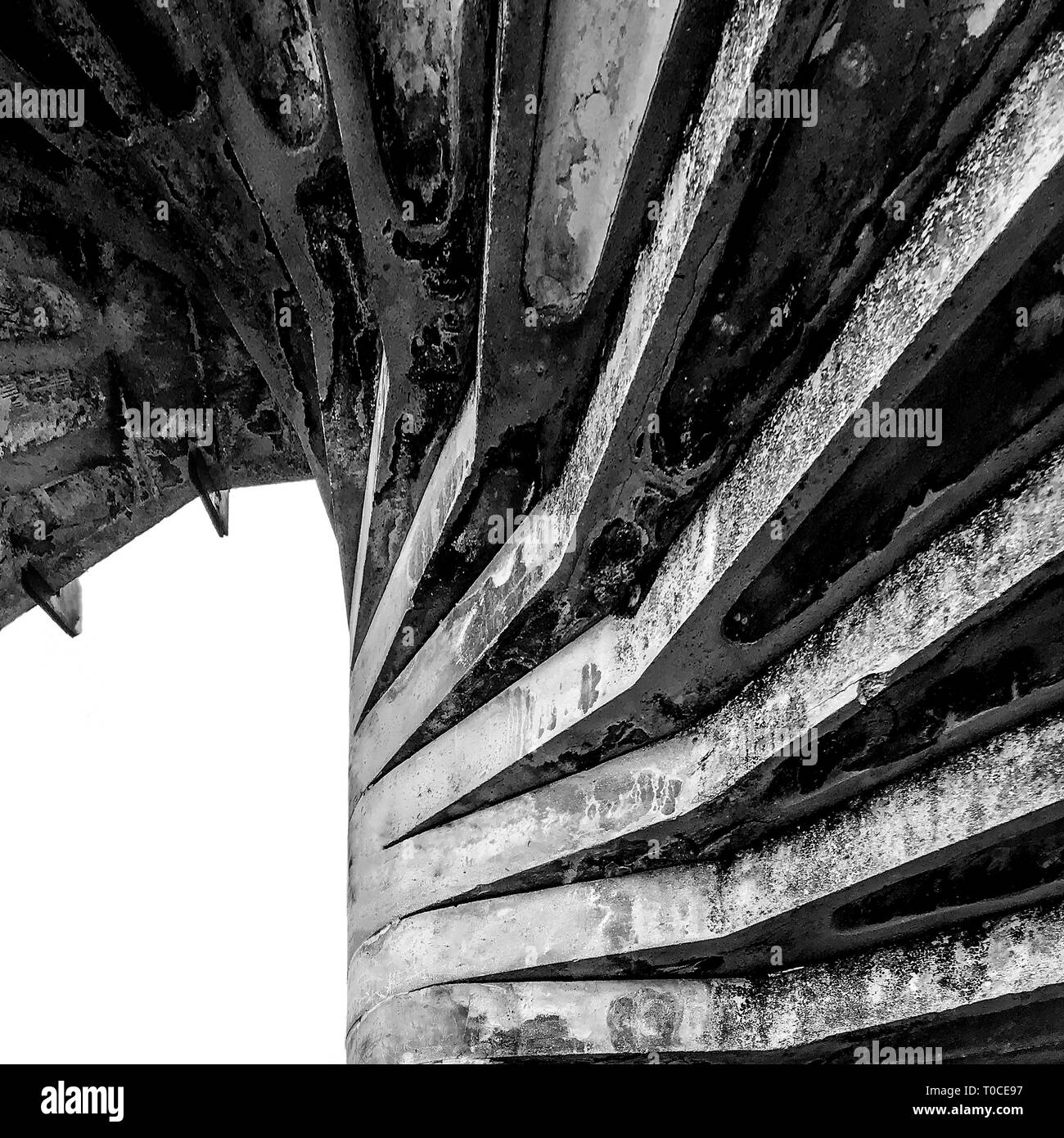 Unusual Viewpoint Photography