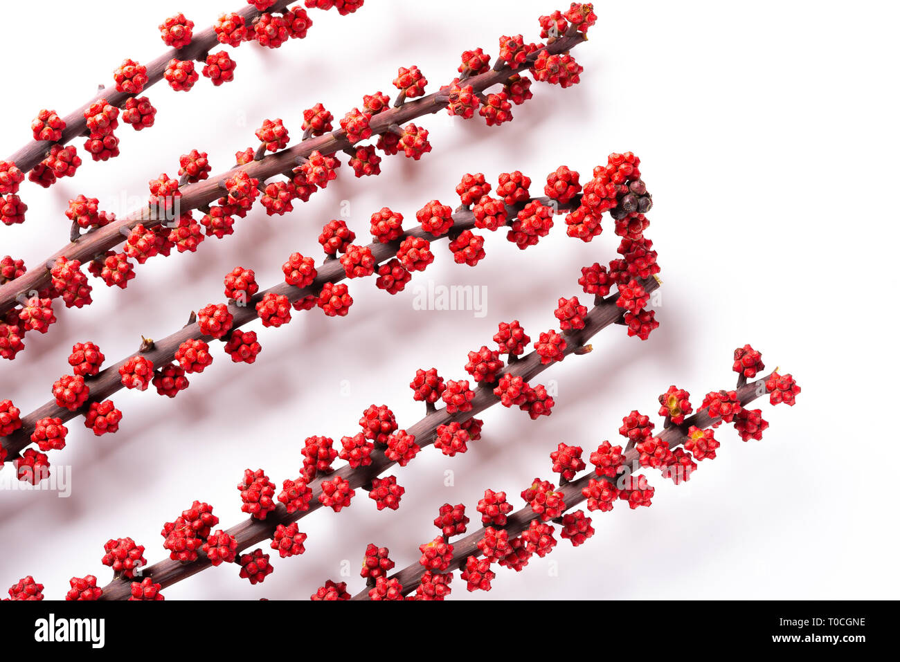 Top view red beautiful hi-res stock photography and images - Alamy