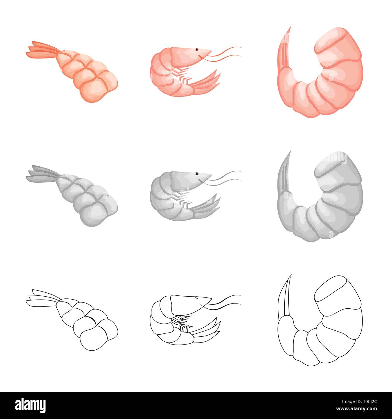 prawn,creature,boiled,fresh,restaurant,raw,cooked,aquatic,luxury ...