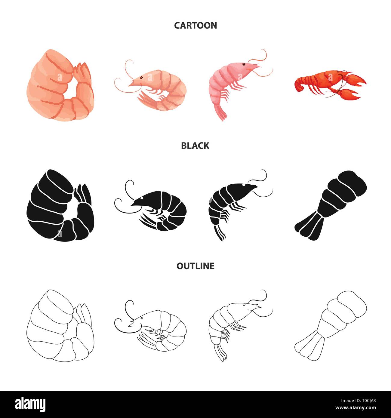 prawn,raw,cooked,fresh,luxury,underwater,atlantic,happy,aquatic,boiled ...