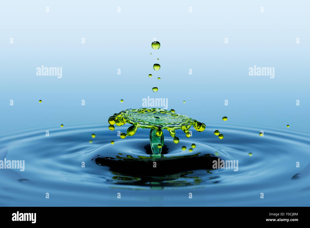 Water splatter and splash. Collision effect of two green falling rain ...