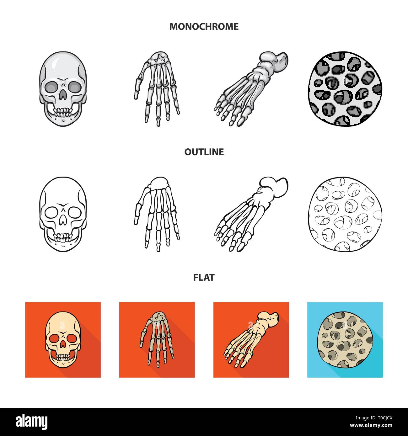 skull,wrist,foot,fiber,death,hand,ankle,healthy,monster,calcium ...