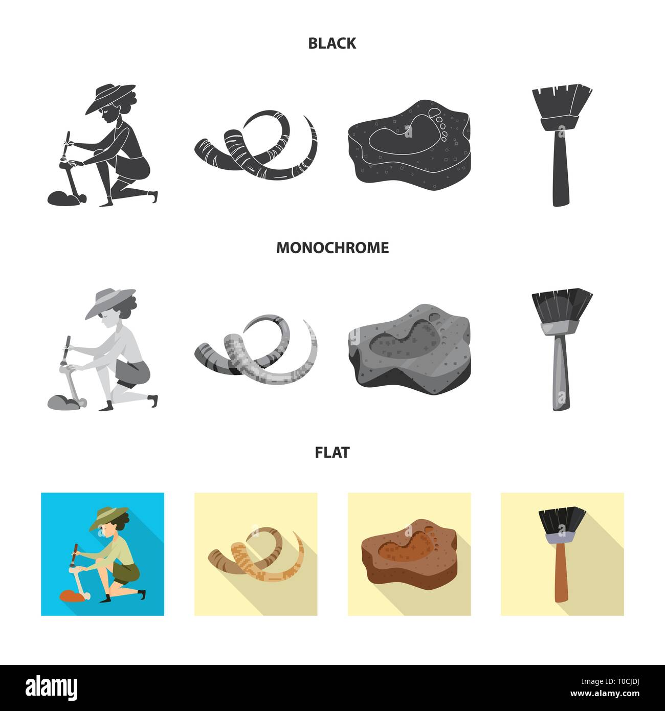 Paleontologist Tools