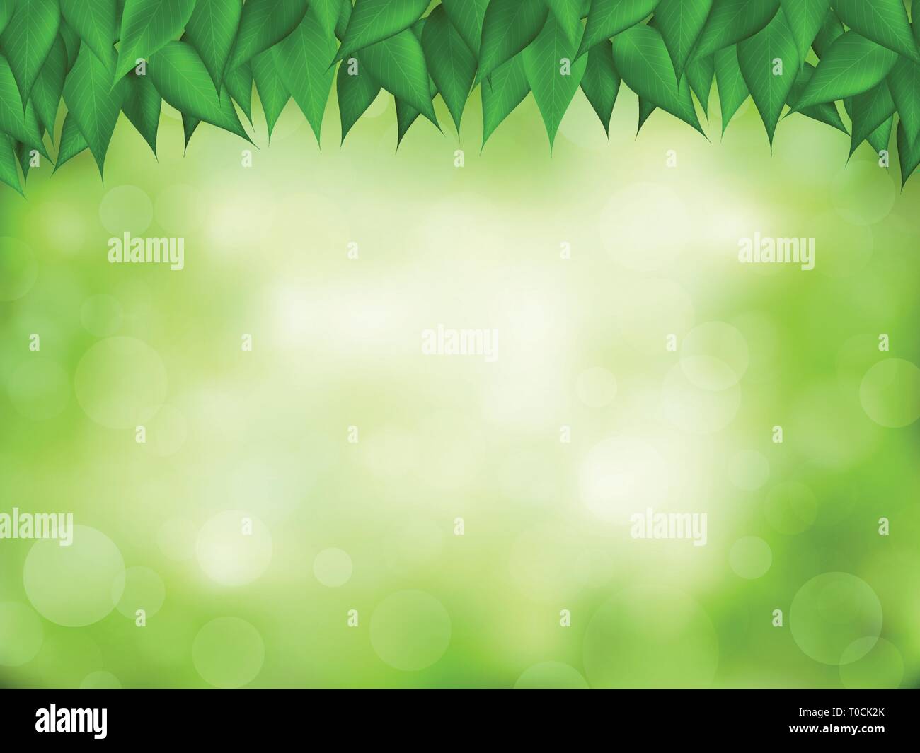 Realistic leaves Stock Vector Images - Alamy