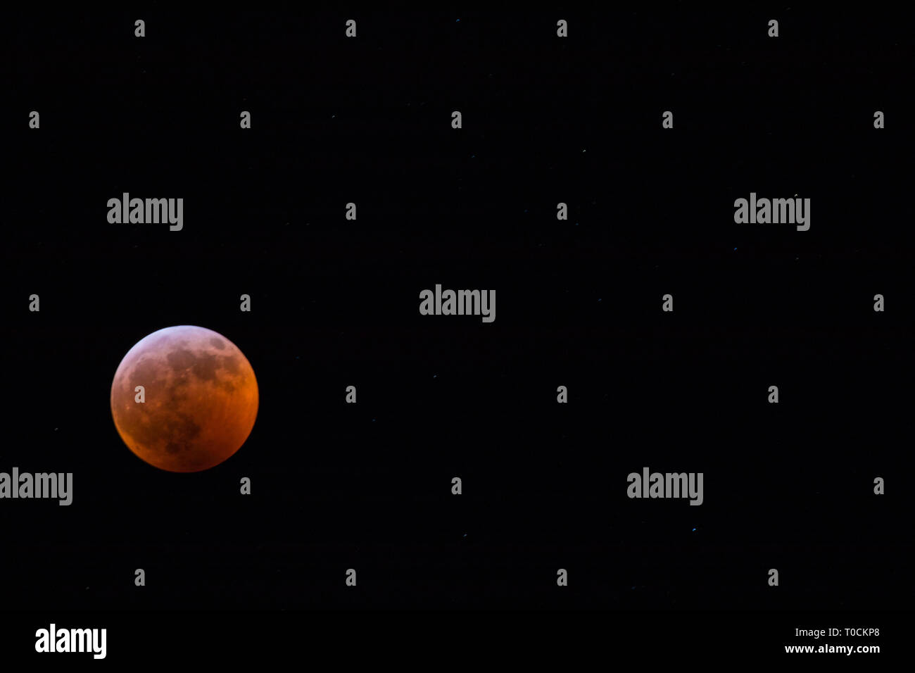 2019 red moon lunar eclipse hi-res stock photography and images - Alamy