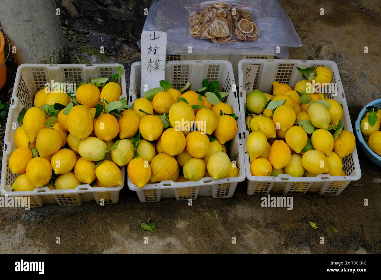 Wild Lemon grown in Guangdong village Stock Photo - Alamy