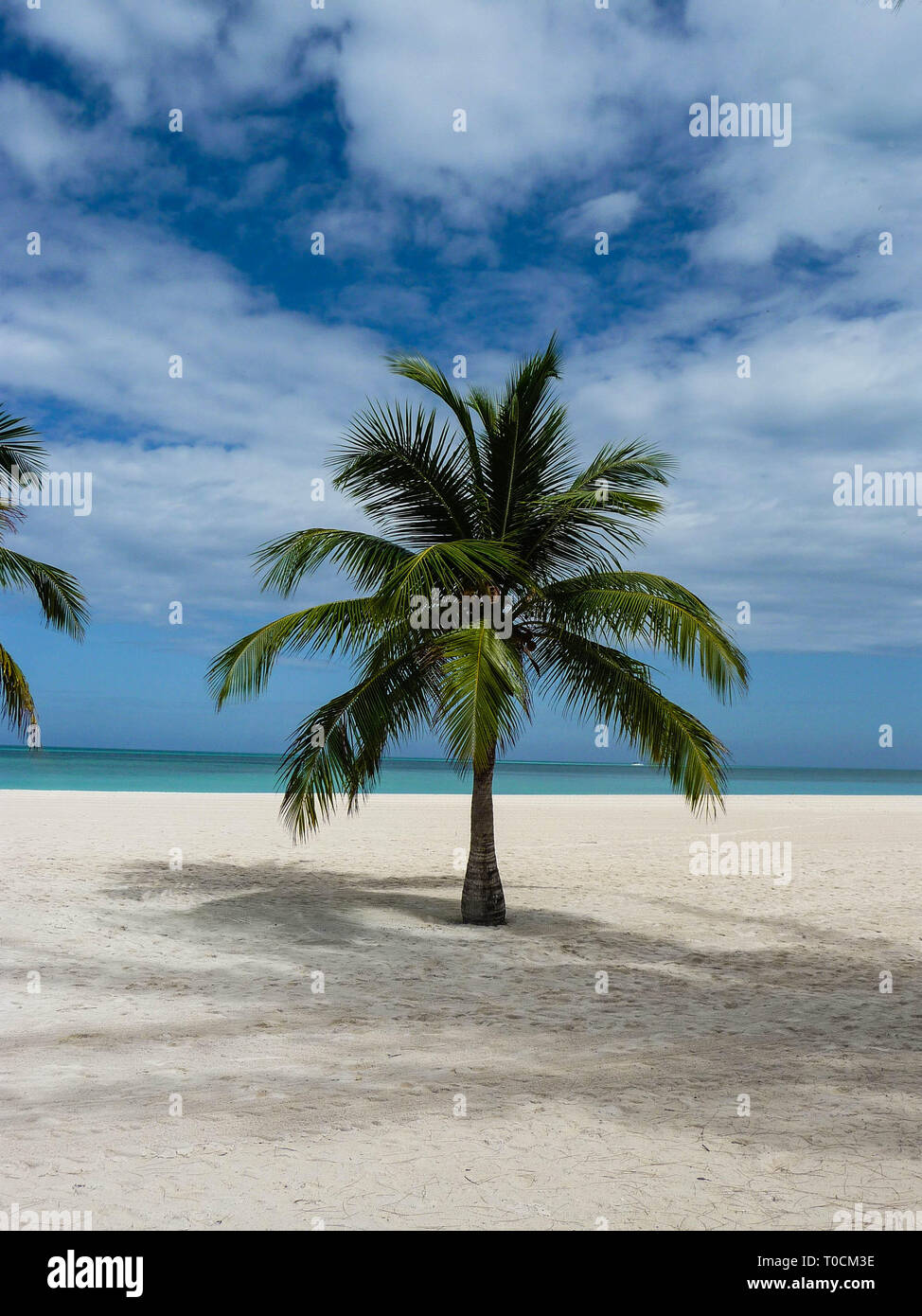 Isla Pasion - Passion Island Cozumel Mexico Stock Photo - Alamy