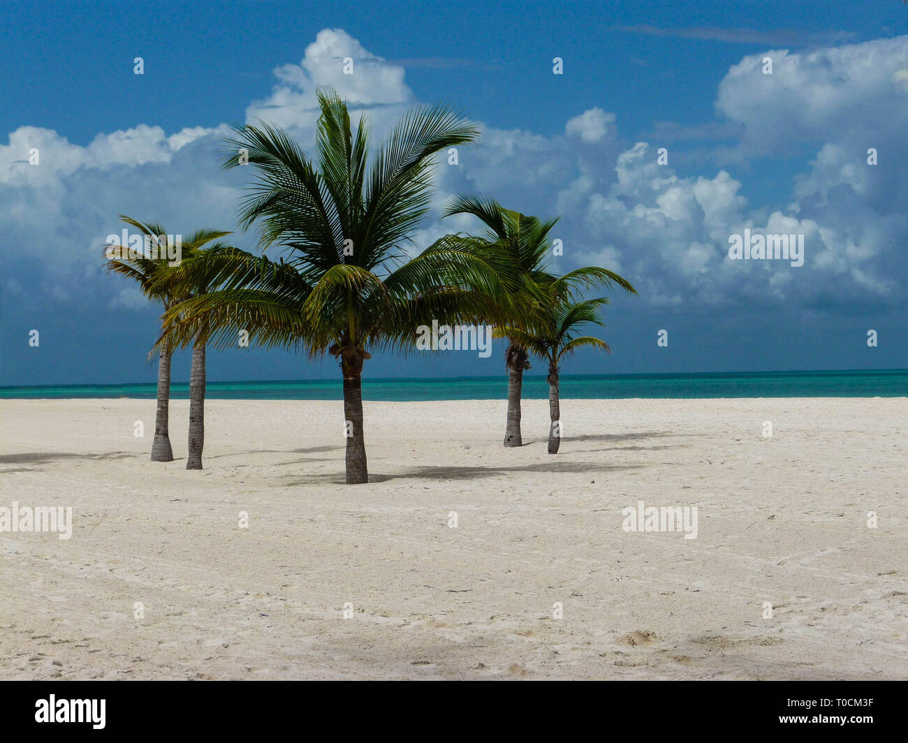Isla pasion hi-res stock photography and images - Alamy