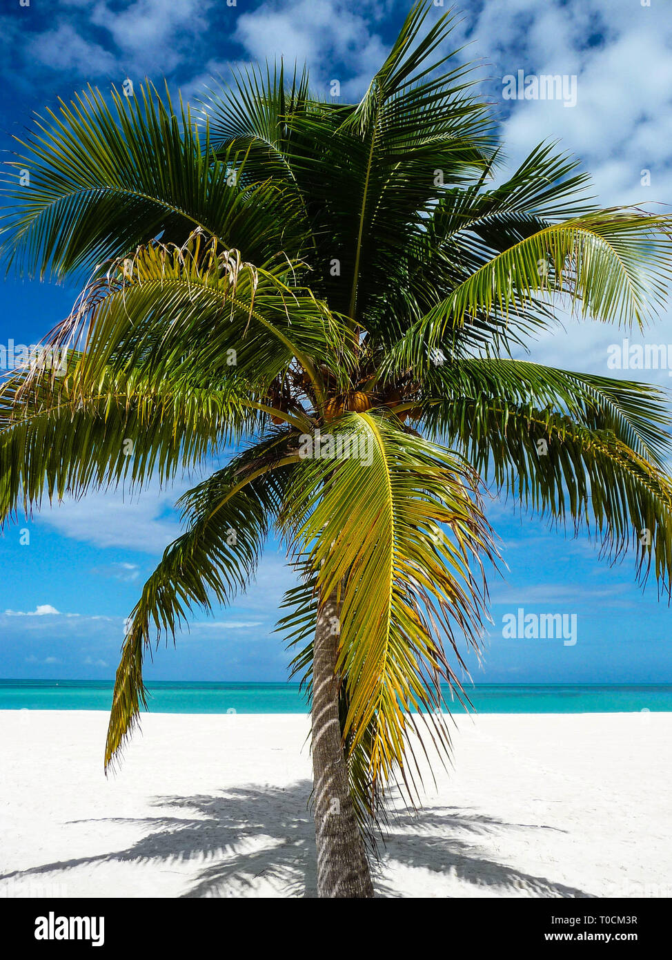 Isla Pasion High Resolution Stock Photography and Images - Alamy