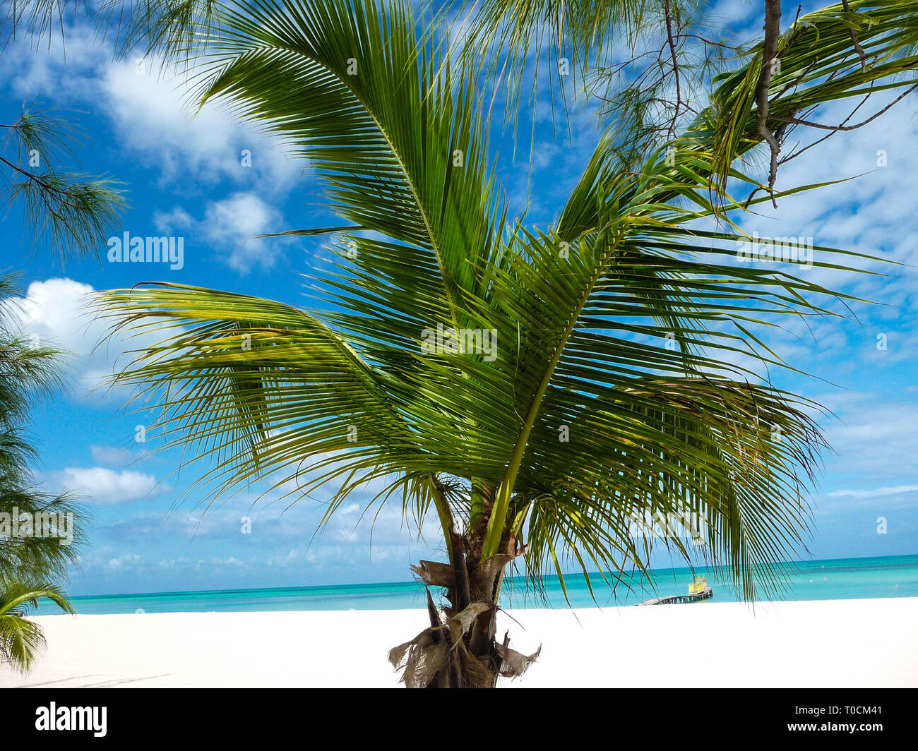 Isla pasion hi-res stock photography and images - Alamy