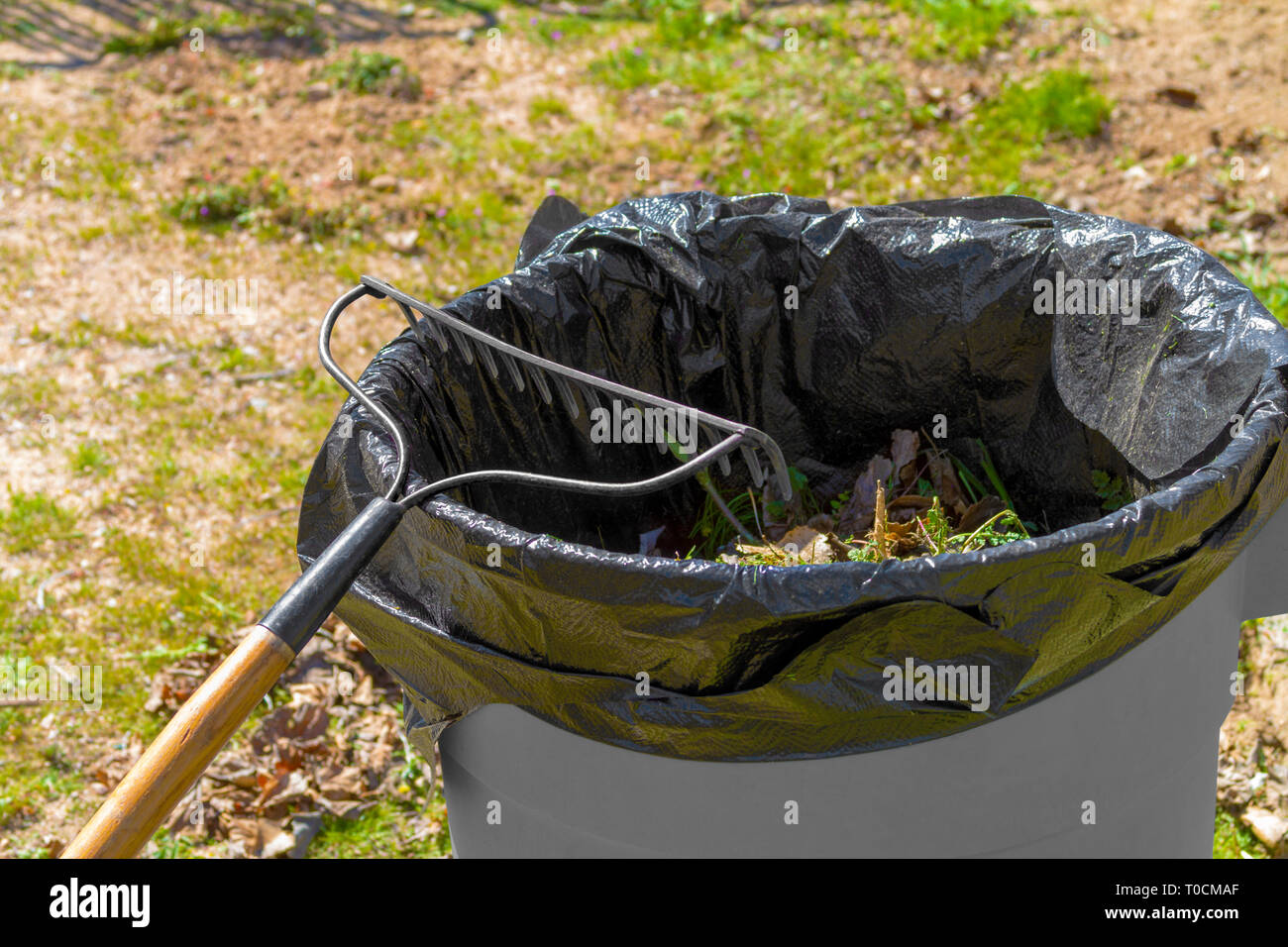 Yard Cleanup - Garden Rake and Trash Can Stock Photo - Alamy