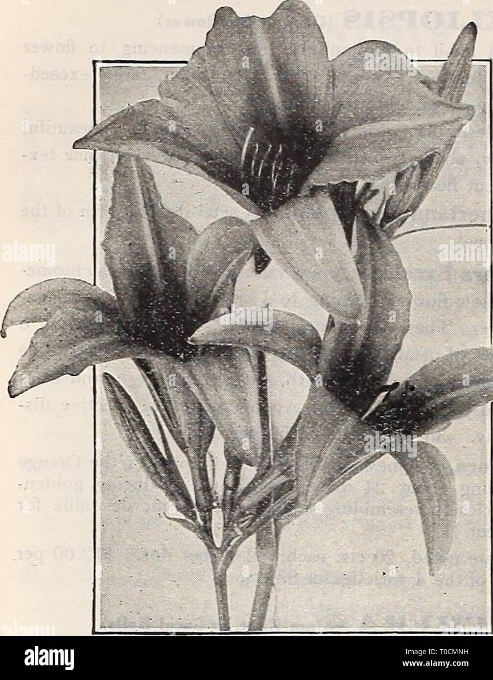 196 feet hi-res stock photography and images - Alamy