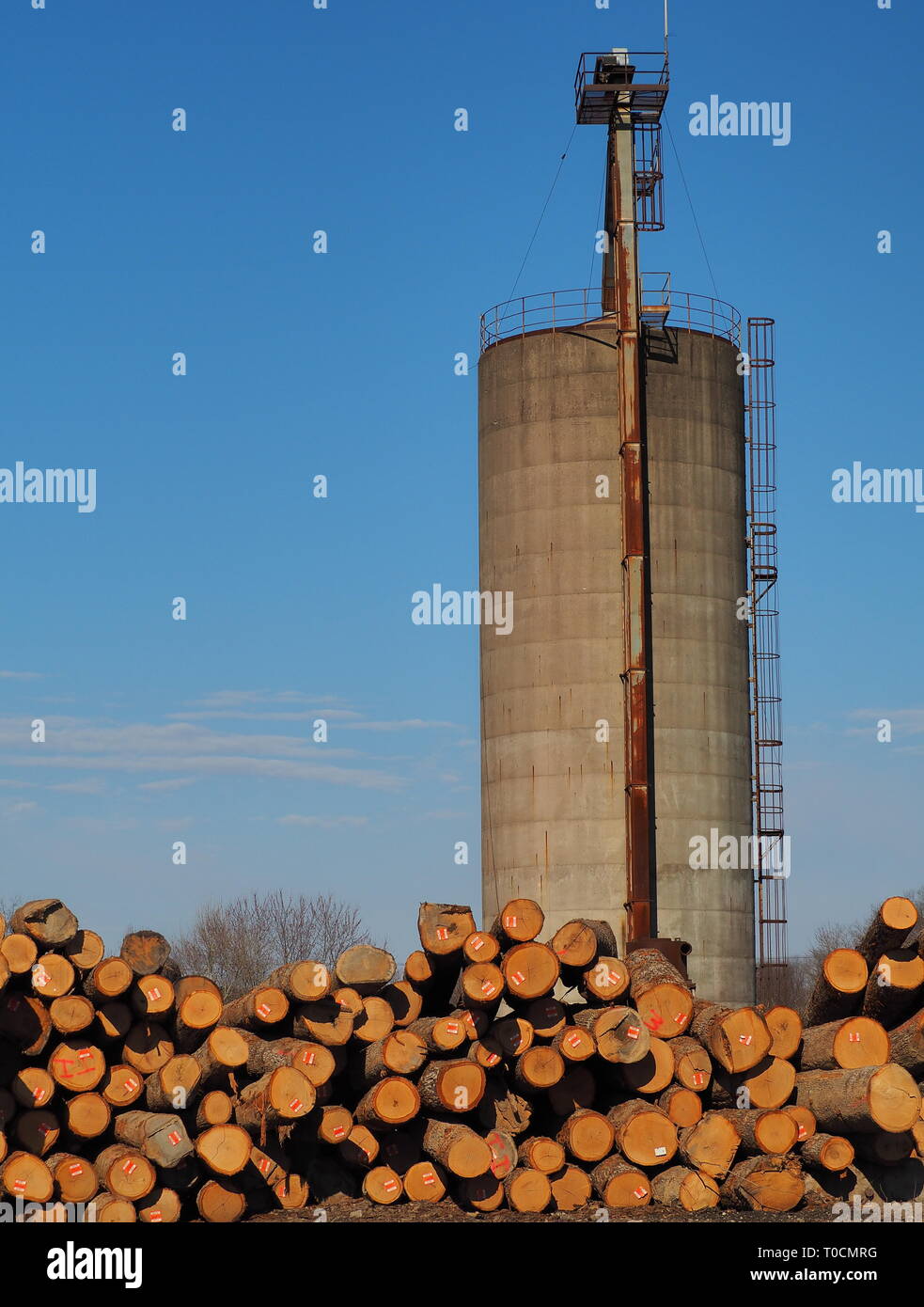 Saw dust silo in log yard Stock Photo - Alamy
