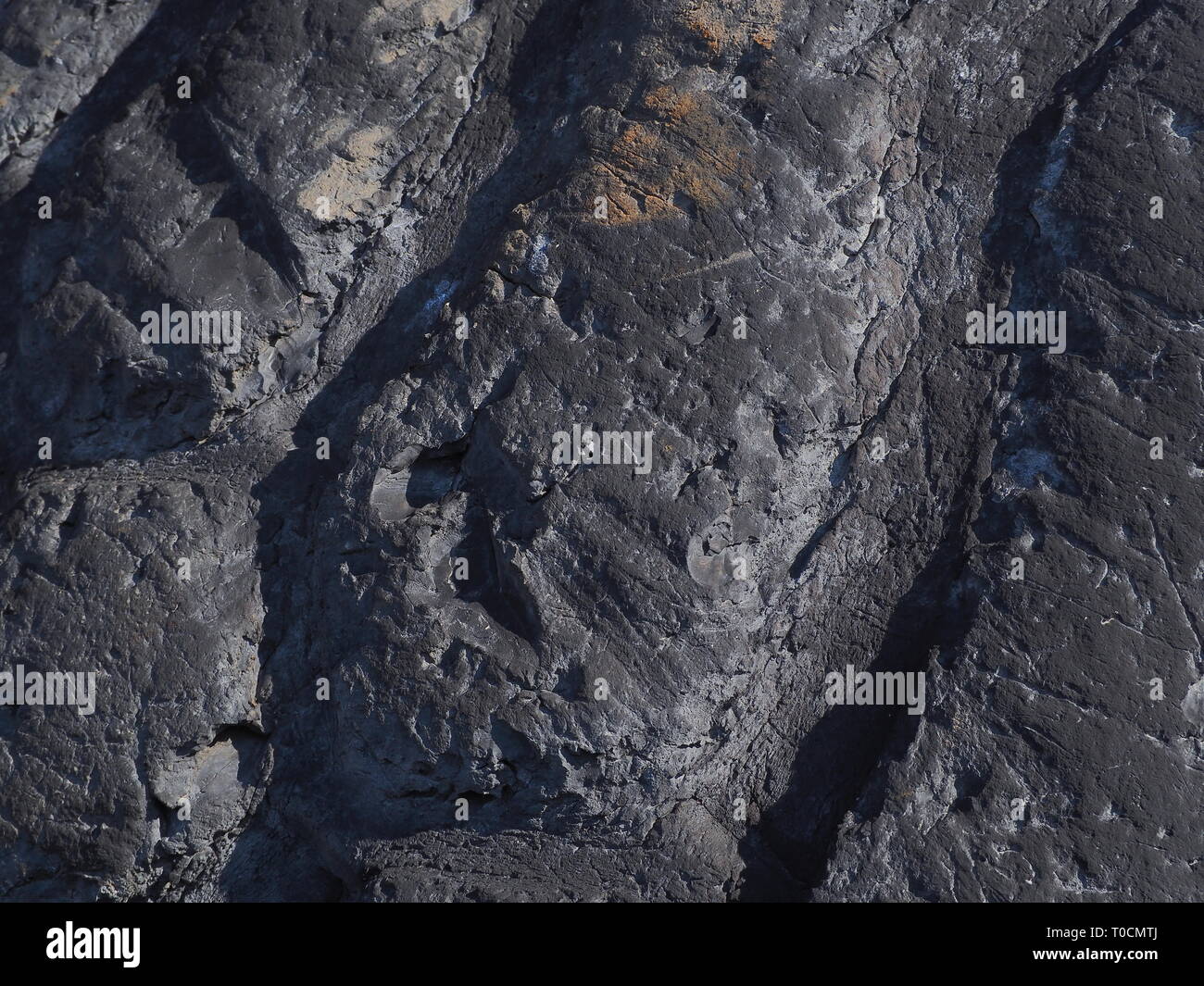 Large tread hi-res stock photography and images - Alamy