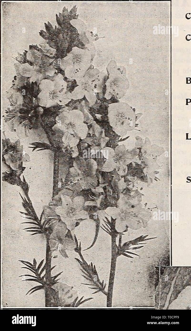 234 feet high hi-res stock photography and images - Alamy