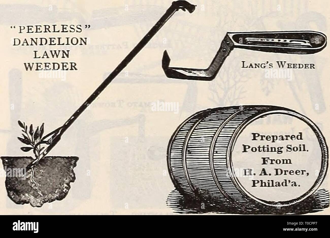 Dreer's garden book 1918 (1918 Stock Photo - Alamy