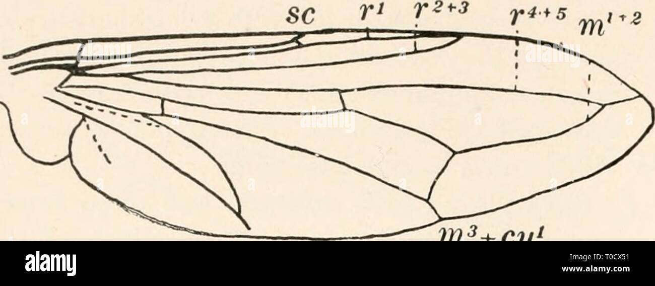 Ops drawing hi-res stock photography and images - Alamy