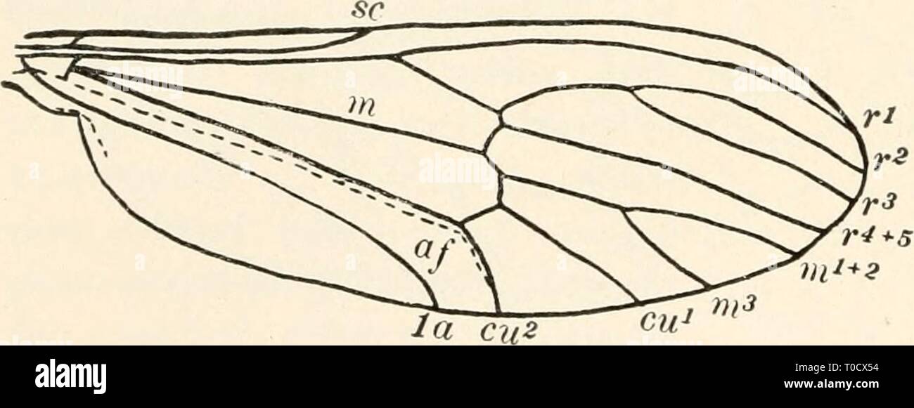 Dixa High Resolution Stock Photography and Images - Alamy