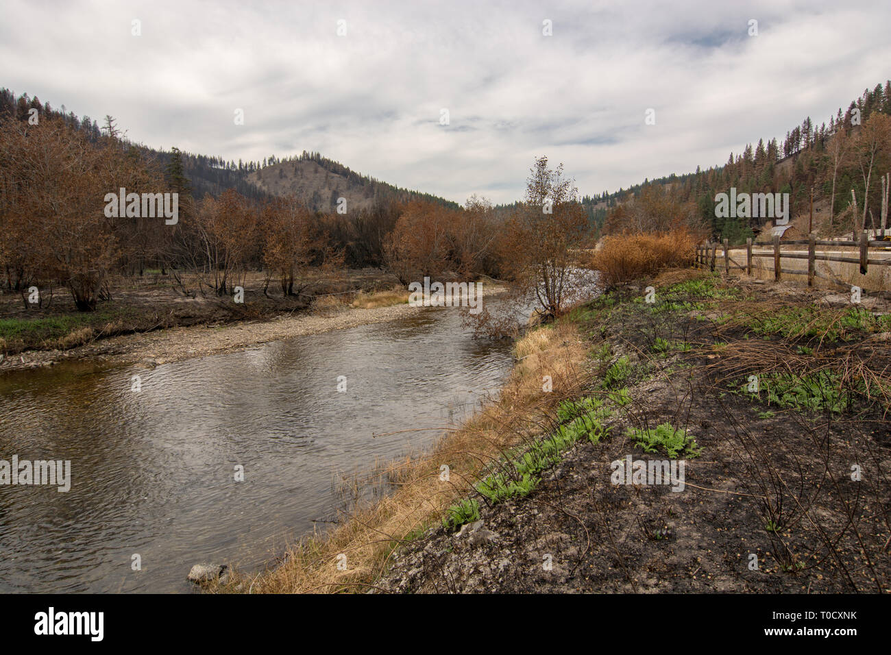 The Lolo Wildfires in Montana was a Level 1 fire which lasted from ...