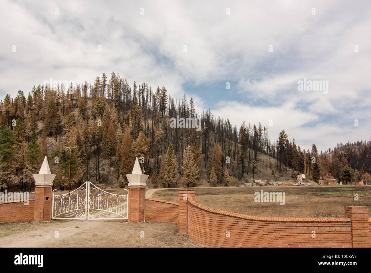 The Lolo Wildfires in Montana was a Level 1 fire which lasted from ...