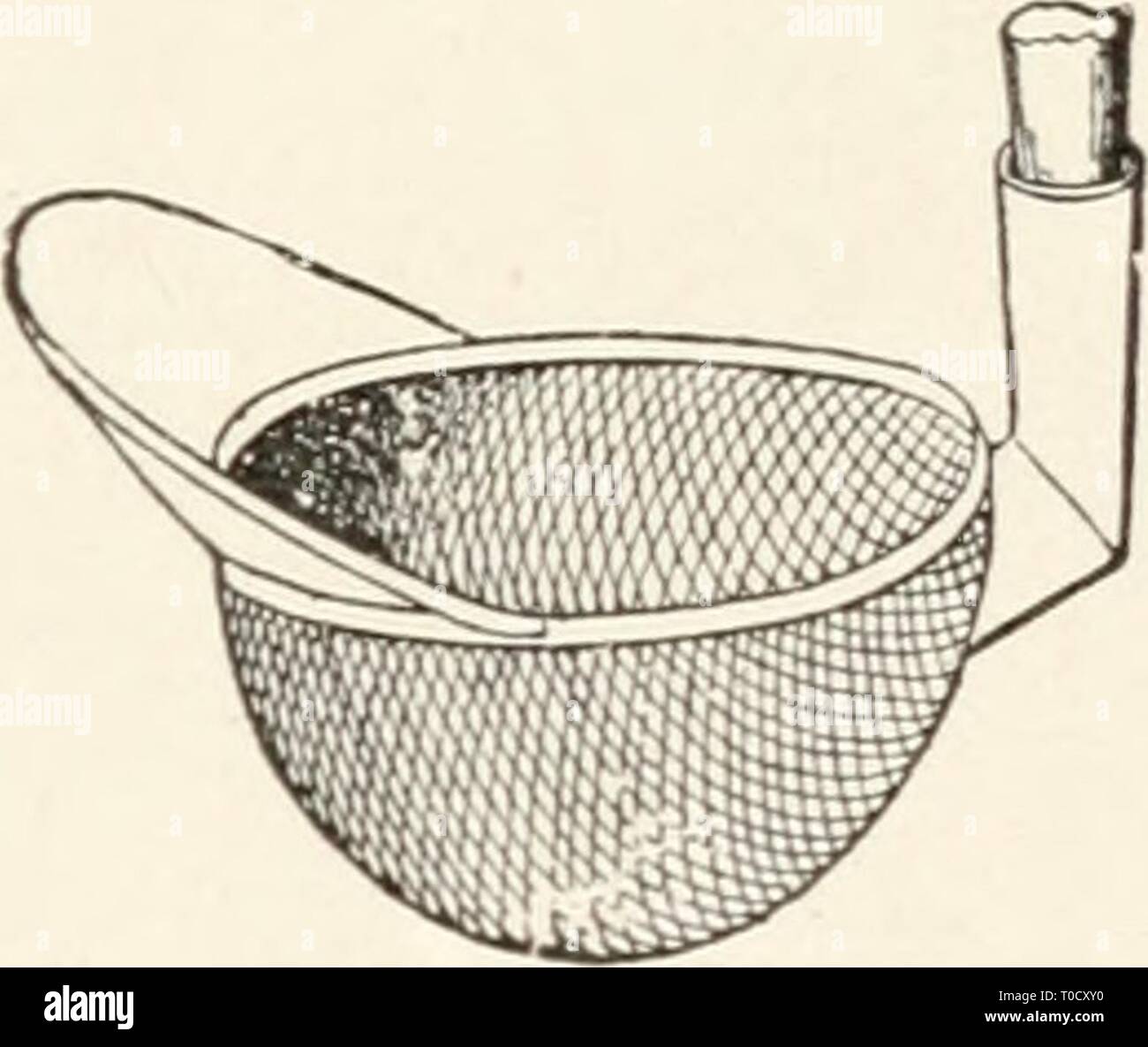Elementary entomology ([c1912]) Elementary entomology ...