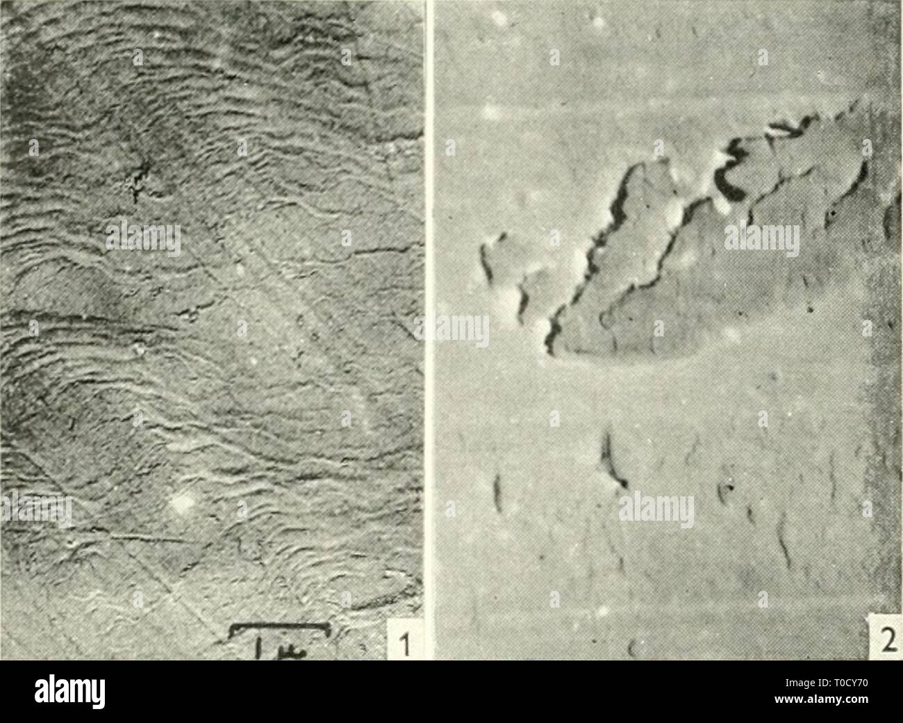 Steel surface magnification hi-res stock photography and images - Alamy
