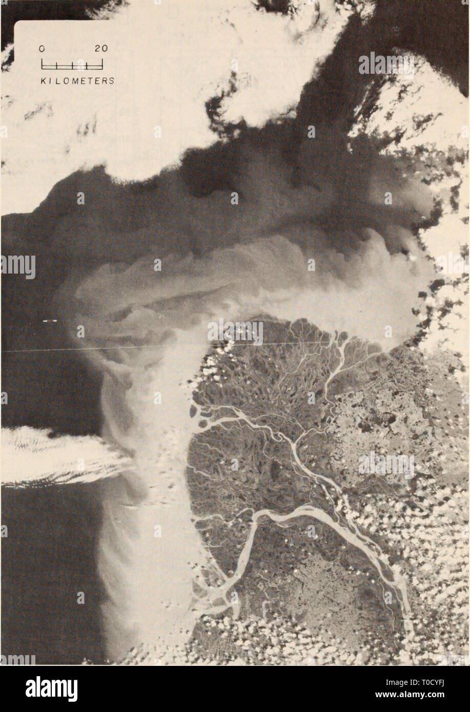 The Eastern Bering Sea Shelf Stock Photo - Alamy