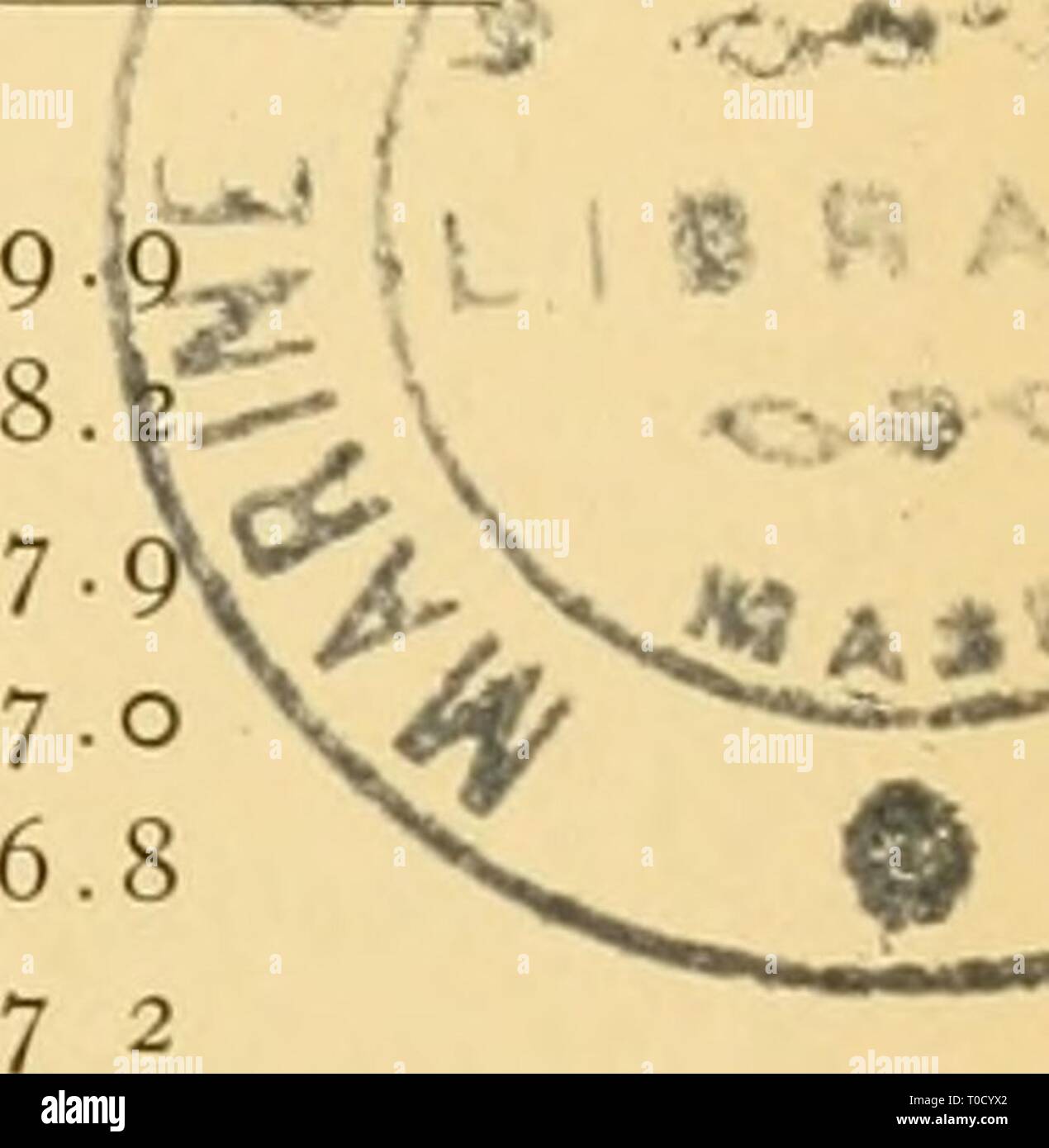 The effects of inanition and Stock Photo - Alamy