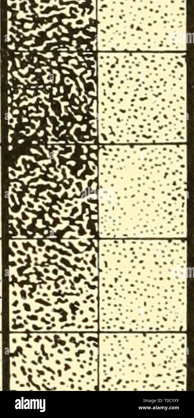 Ecological animal geography; an authorized Stock Photo - Alamy